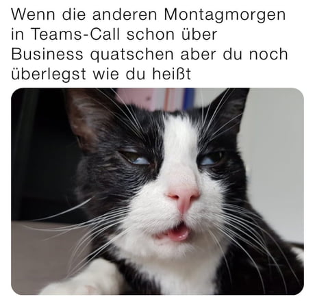 Lustiges Montagmorgen Meme Montag