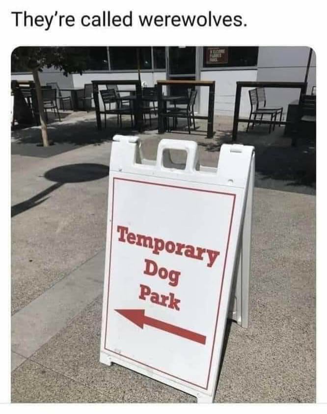 Temporary wolf - 9GAG