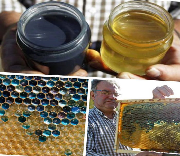 French beekeepers were shocked to find their bees had produced a supply ...
