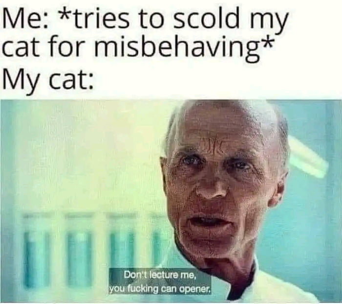 Stop lecturing me, hooman - 9GAG