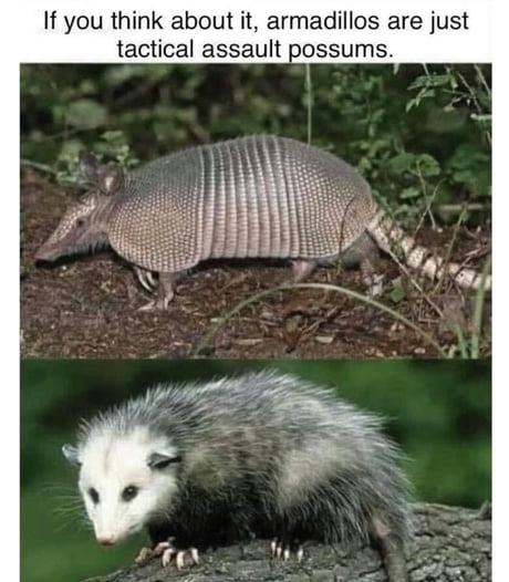 Best Funny rabies Memes - 9GAG