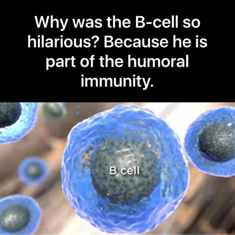 Best Funny immunology Memes - 9GAG
