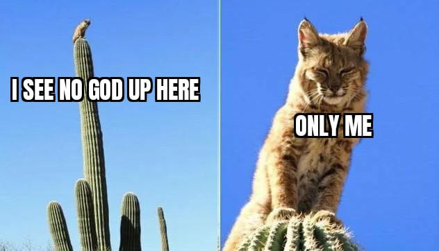 Awesome bobcat - 9GAG