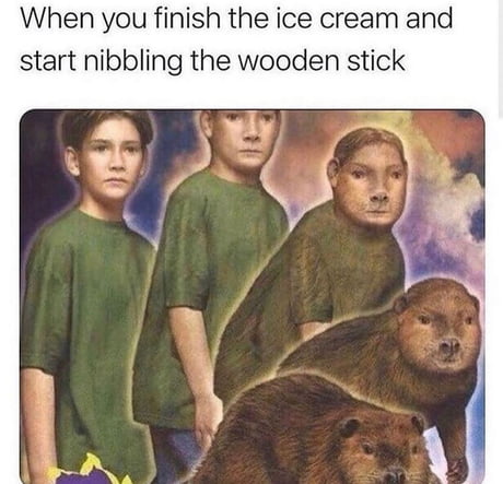 Animorphs Meme