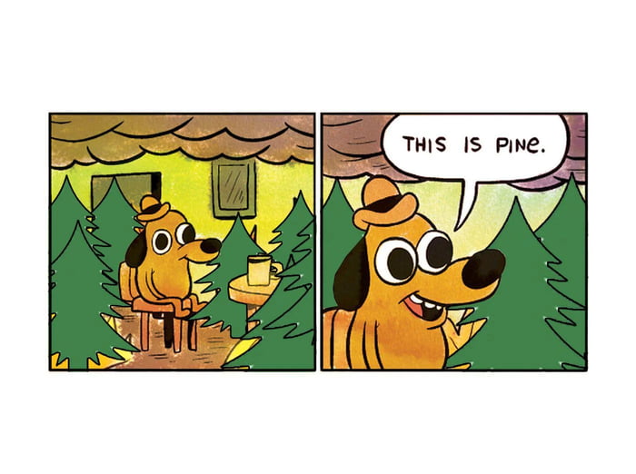 It's pine! - 9GAG