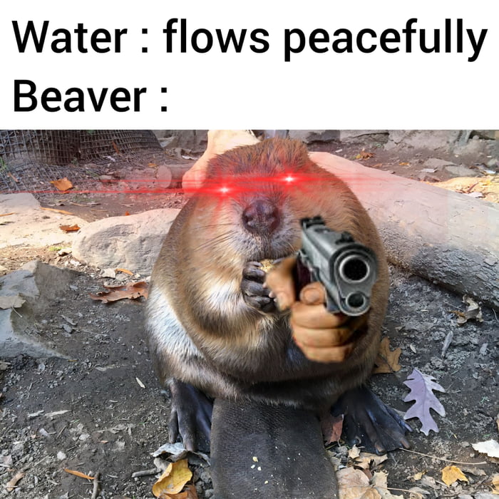 Dam construction intensified - 9GAG