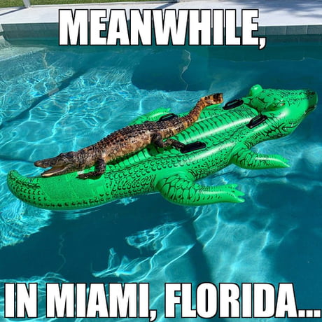 Funny Florida Memes