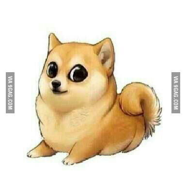 Baby Doge Memes