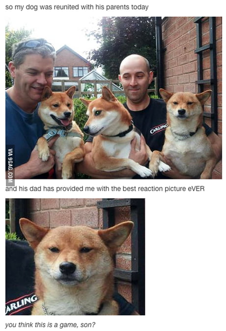 darkiller97 - 9GAG
