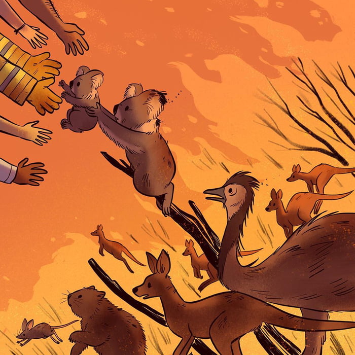 Sad Artwork Depicts The Bushfires Across Australia - 9GAG