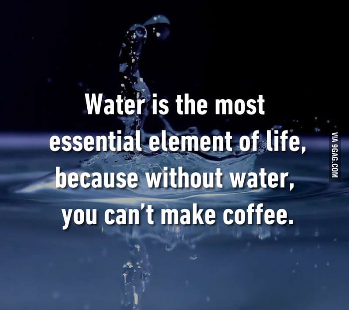 True very True 9GAG true-very-true-9gag