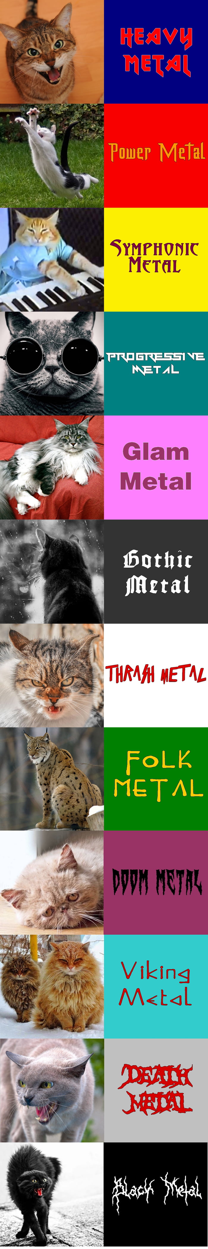 Main metal types with cats. - 9GAG