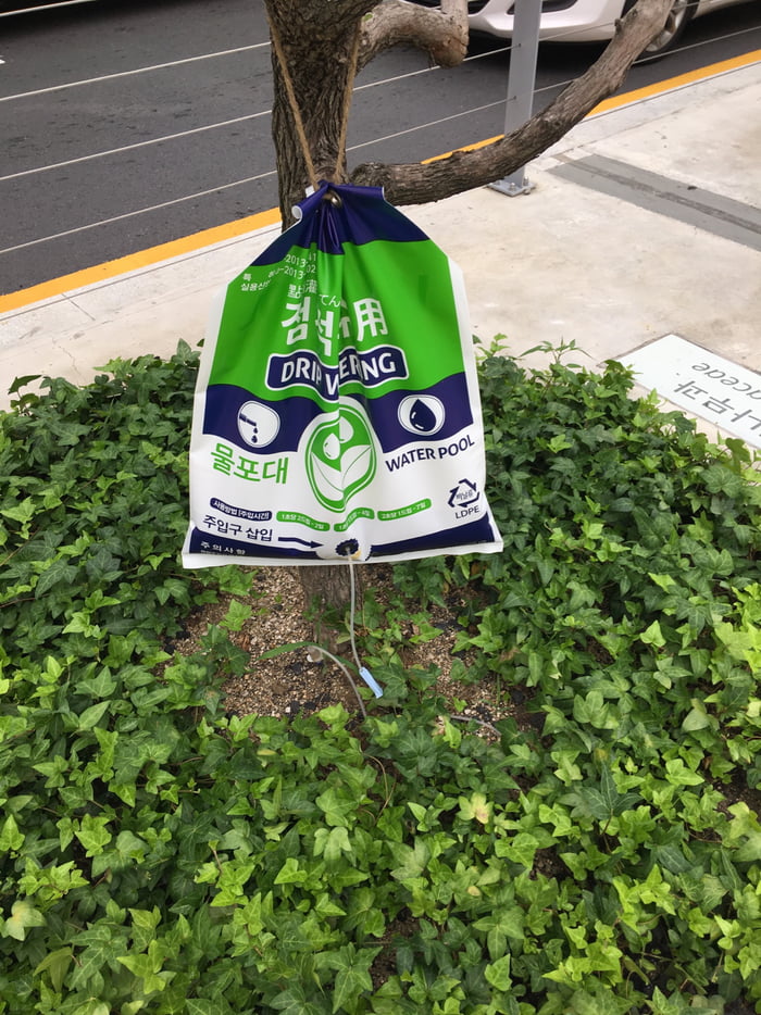 IV Drip for trees, only in Korea - 9GAG