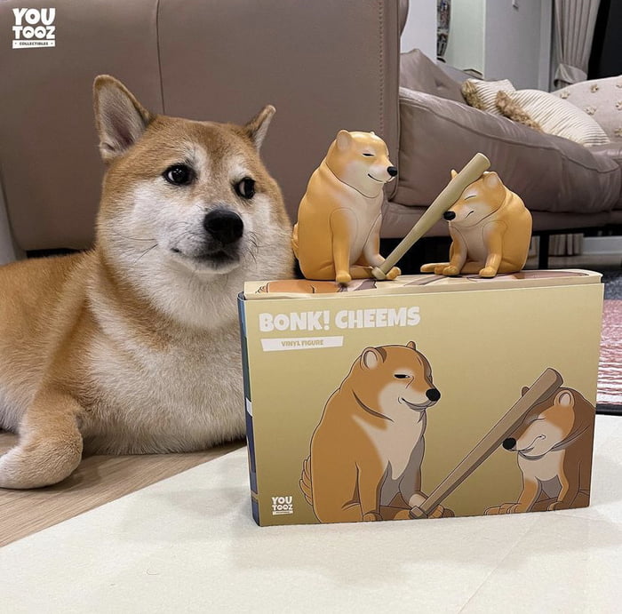 Bonk figurine by the original doge himself. Insta: balltze - 9GAG