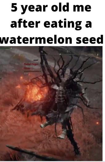 Average Elden Ring player - 9GAG