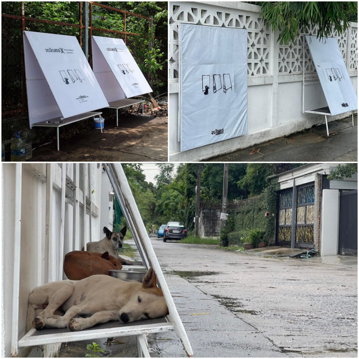 Stand for Strays Thailand, has launched foldable Shelters made of ...