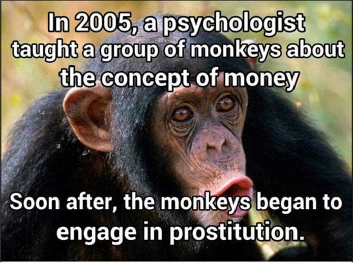 Scientists taught monkeys the concept of money. Not long after, the ...