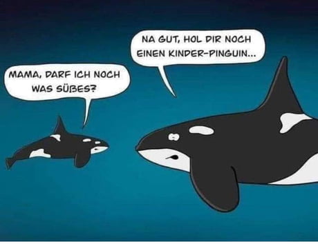 Best Funny orca Memes - 9GAG