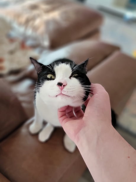 Best Funny dingus Memes - 9GAG