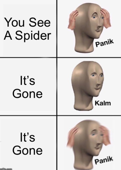 Best Funny spider Memes - 9GAG