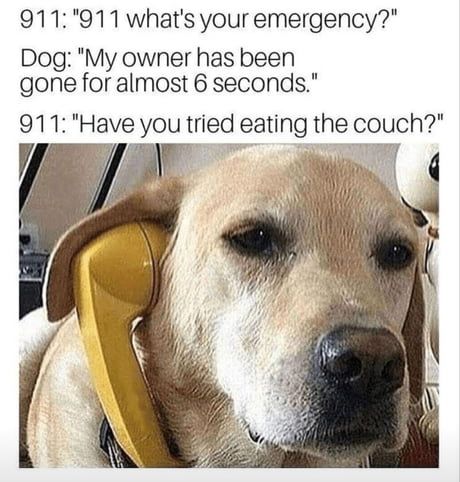 Funny Emergency Memes Dealing With A Rude Registrar In The Emergency