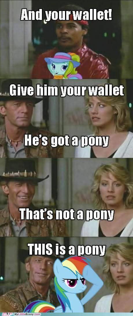 Funny Brony Memes New Pink My Little Girls Cute Big Funny Vinyl Decal