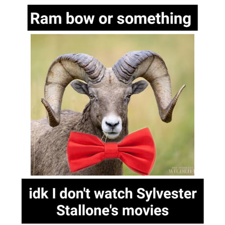 Best Funny rambo Memes - 9GAG