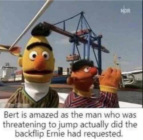 Best Funny bert Memes - 9GAG