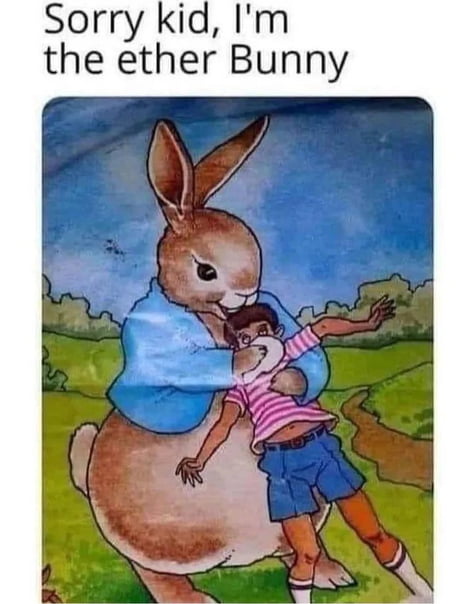 Bunny Rabbit Memes Best Funny Bunny Memes 9GAG