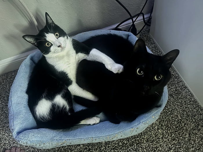 Embrace the void - 9GAG