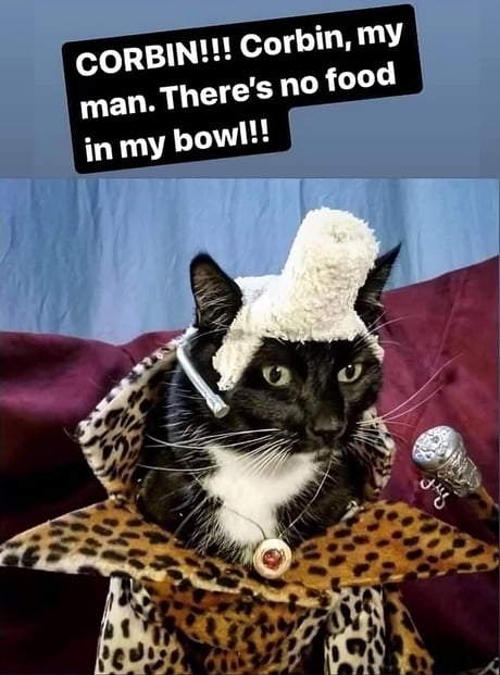 Best Funny pimp Memes - 9GAG
