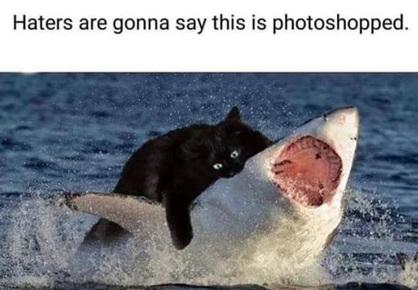 Memes Pidiendo Photoshop