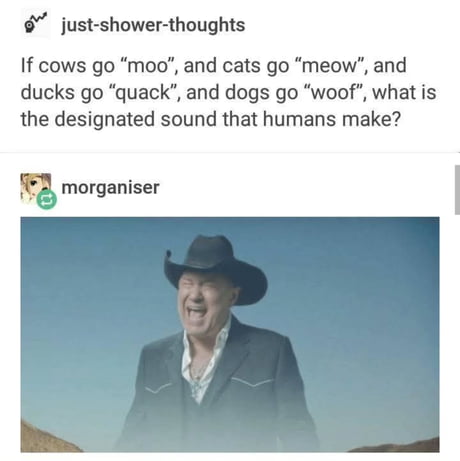 Best Funny yodel Memes - 9GAG