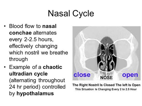 How many never realised we regularly cycle between the nostril we ...