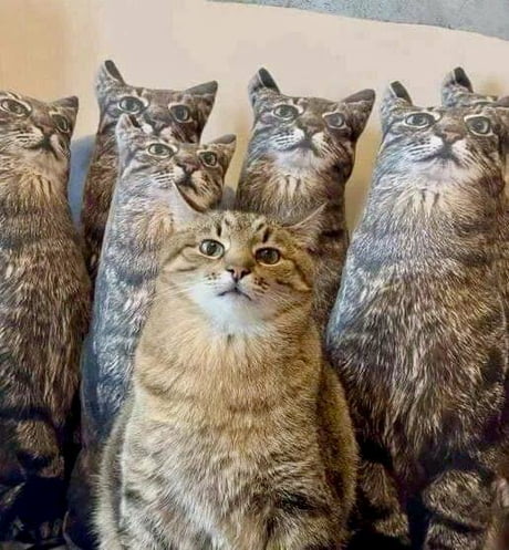 Best Funny clone Memes - 9GAG
