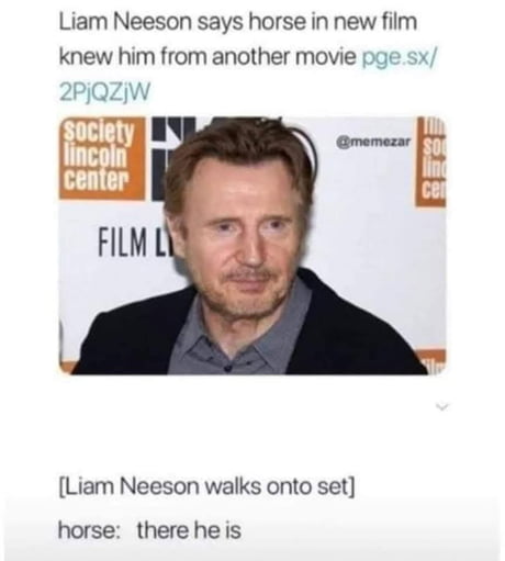 Liam Neeson Hung Like A Horse Liam Neeson Quote: I Do Believe At The