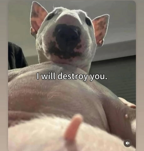Best Funny destroy Memes - 9GAG