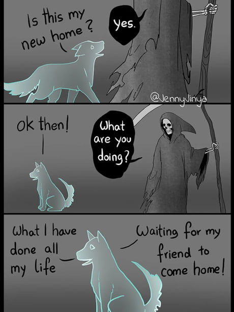Best Funny death Memes - 9GAG