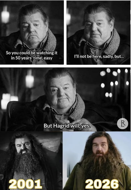 Harry Potter Hagrid Memes