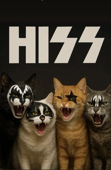 Best Funny hiss Memes - 9GAG