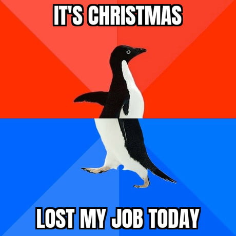 Funny Awkward Penguin Memes Socially Awkward Penguin Memes And Images