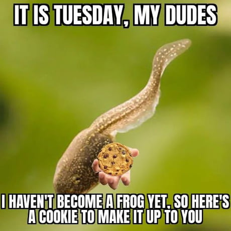 Best Funny tadpole Memes - 9GAG