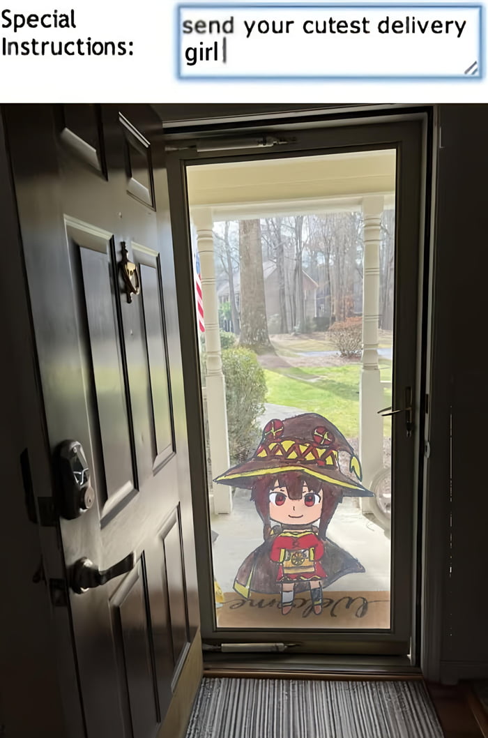 Special Instructions Fulfilled A Cute Delivery Girl Has Arrived 9gag