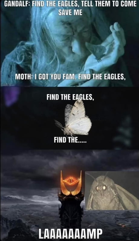 Best Funny moth Memes - 9GAG