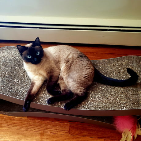 Best Funny divorce Memes - 9GAG