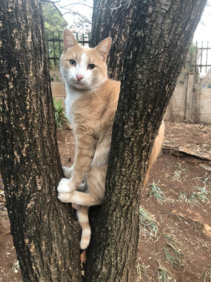 Jimmy Jones aka Cpt. Delicious Pants. And yes, he only has one brain ...