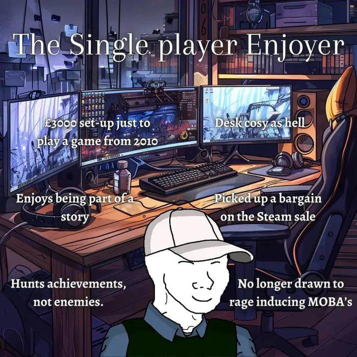 The Single Player Enjoyer - 9GAG