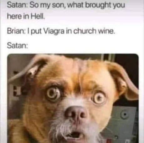 Best Funny absolute unit Memes - 9GAG