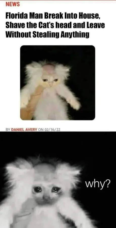 Florida man strikes again - 9GAG