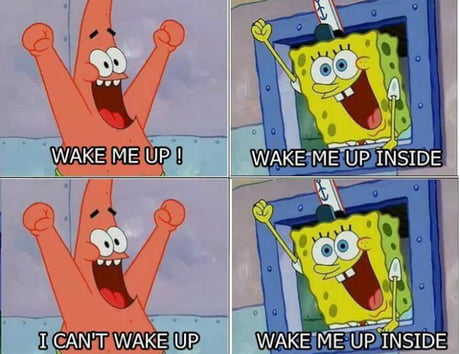 Wake Me Up Meme